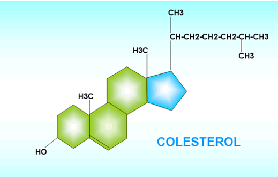 Blog de Bioquímica: cOLEsterOL e a viTamiNa D